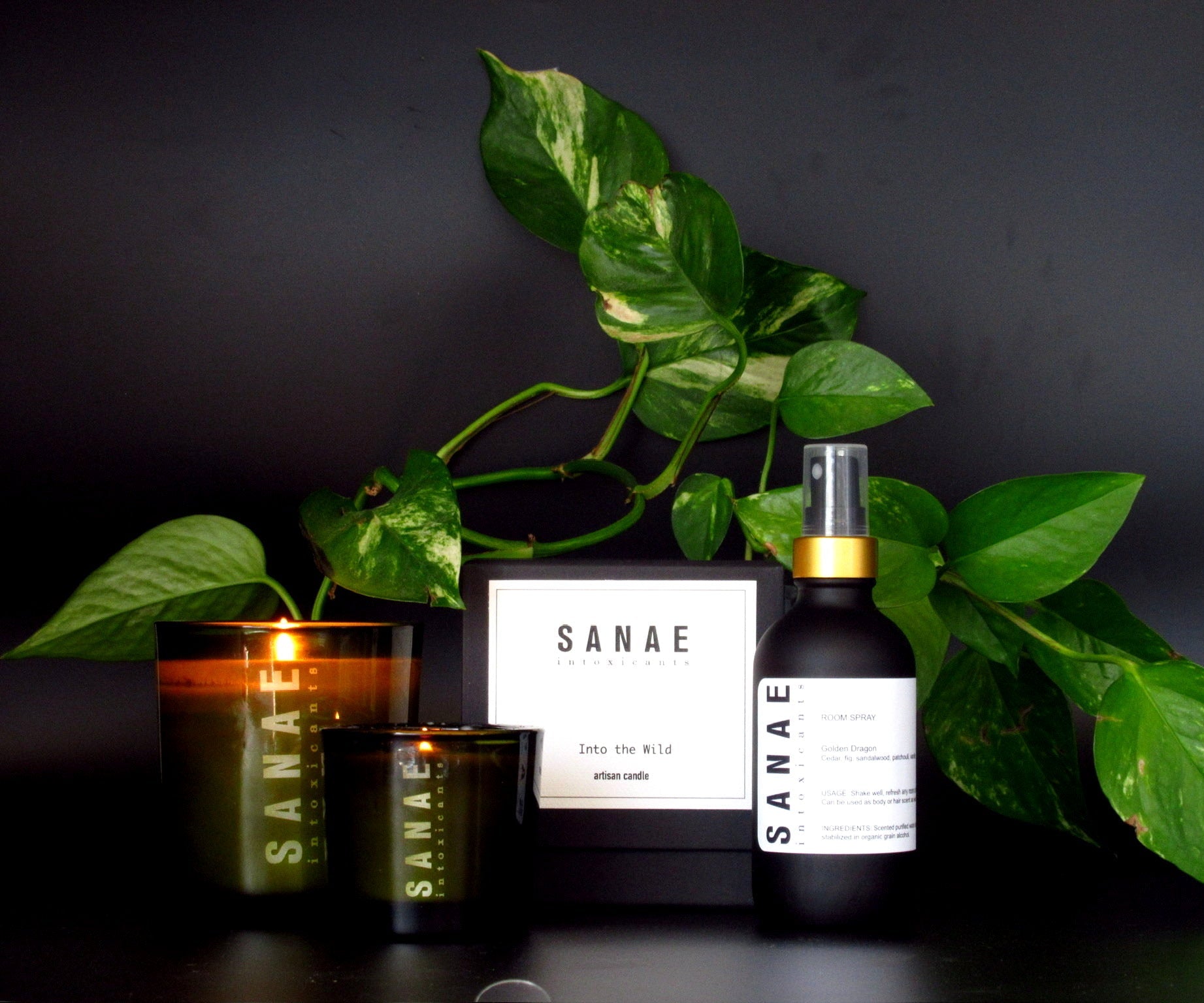 LIFESTYLE – SANAE intoxicants